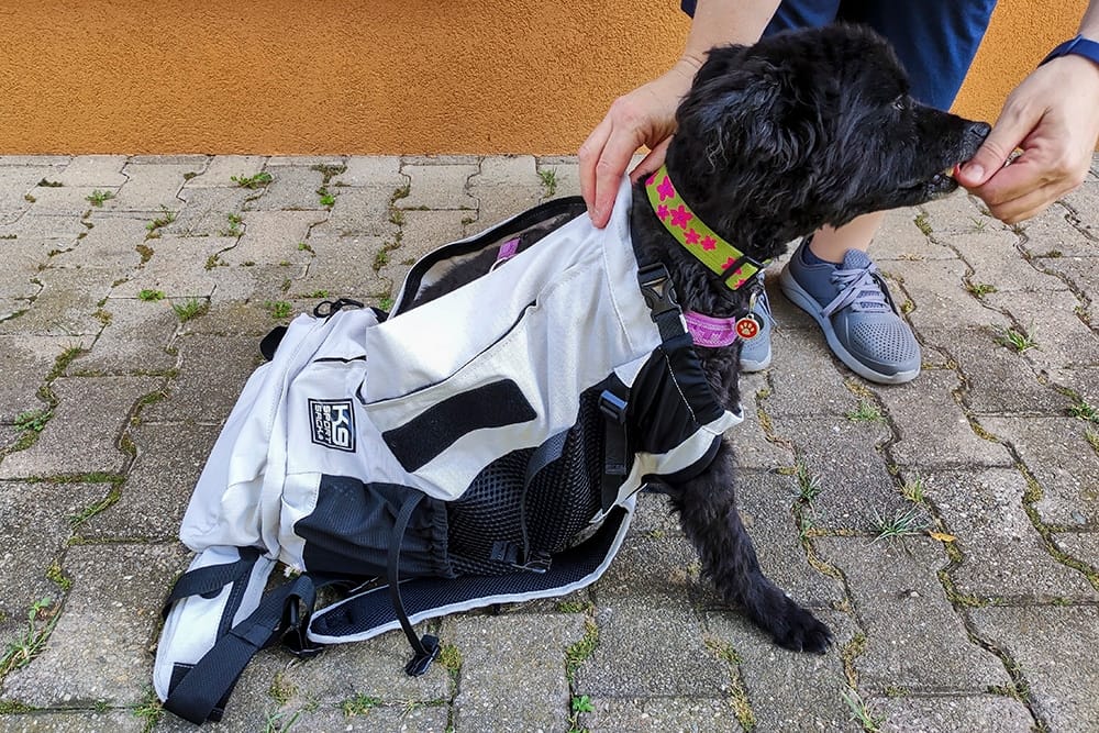 Nahrbtnik za psa K9 Sport Sack » Pasji.Net