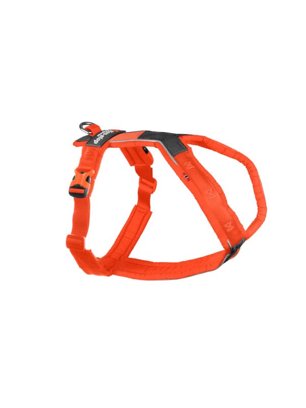 Non stop Line oprsnica 5.0 Oranžna » Pasji.Net